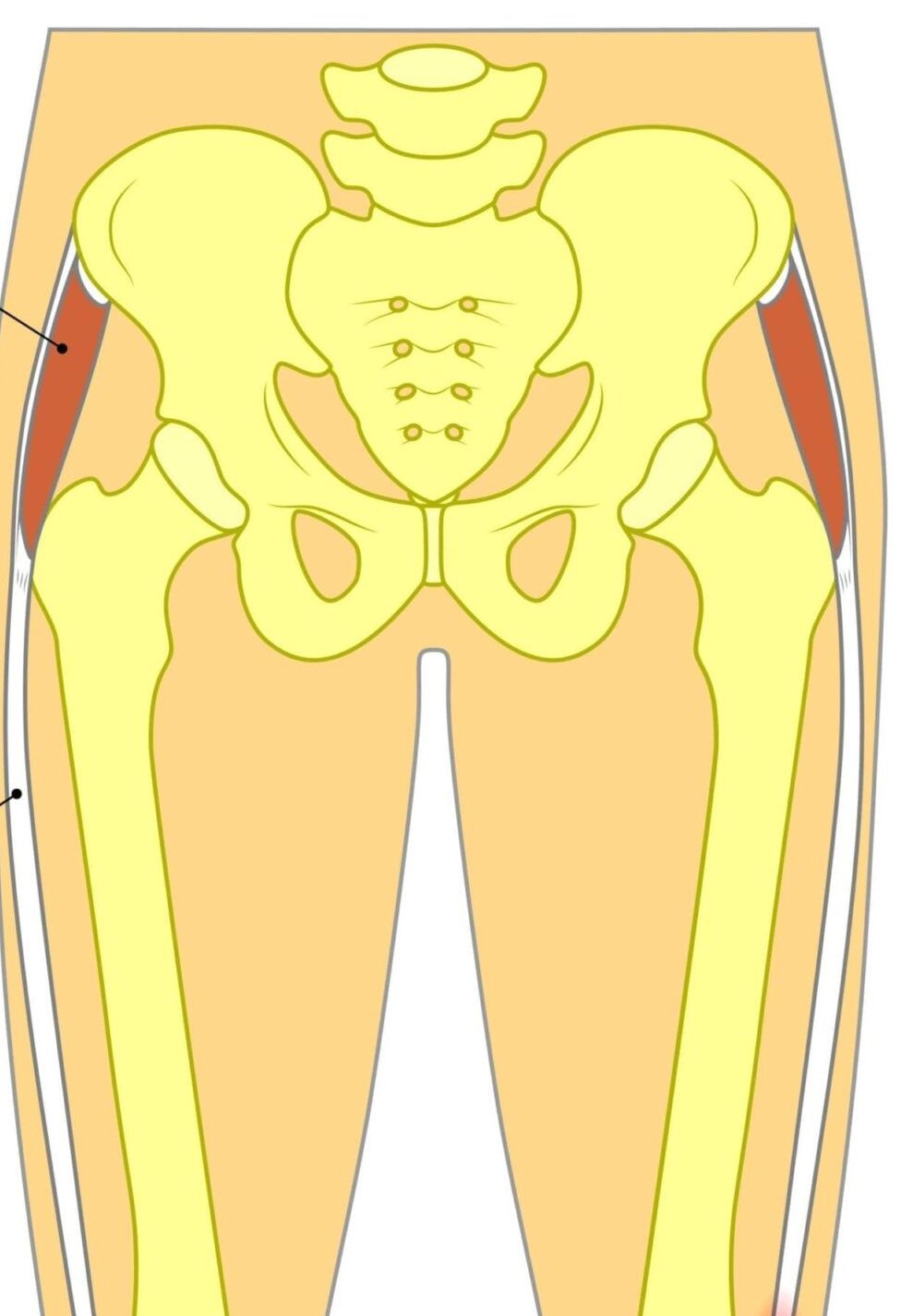 Løperkne - symptom og behandling » Naprapatlandslaget